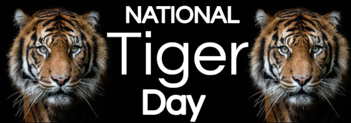 International tiger day | PosterMyWall