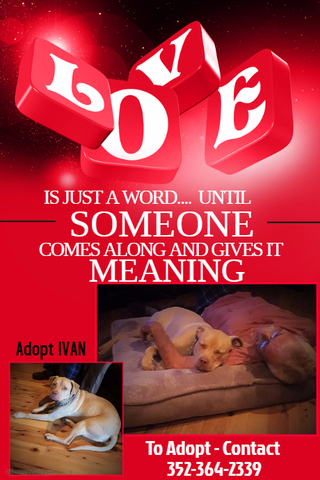 Adopt Ivan | PosterMyWall