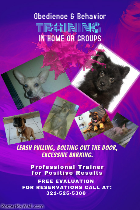 DOG TRAINING | PosterMyWall