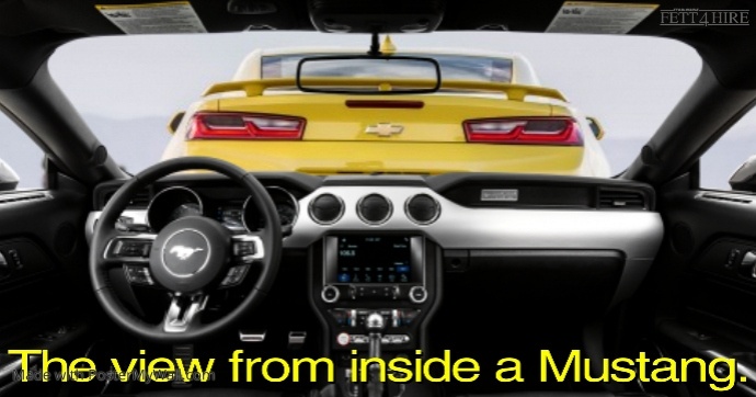 Pony View | PosterMyWall