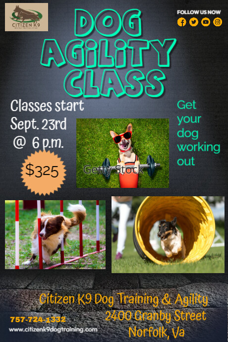 Agility Class (2) | PosterMyWall