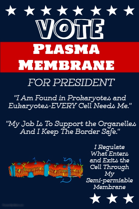 Plasma Membrane for President | PosterMyWall