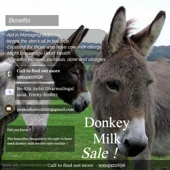 Copy of World Donkey Day | PosterMyWall
