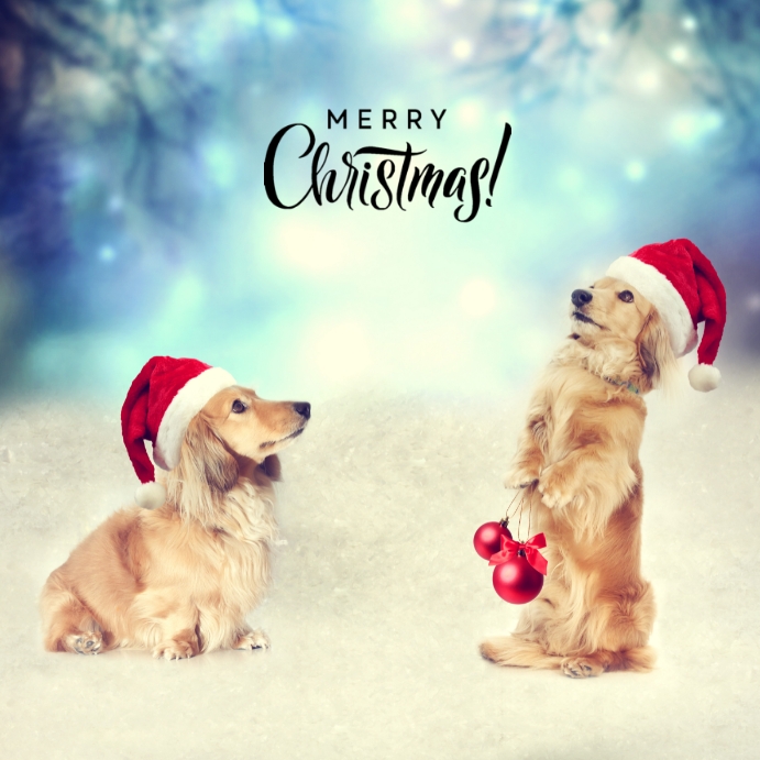 Copy of 226 Holiday | PosterMyWall