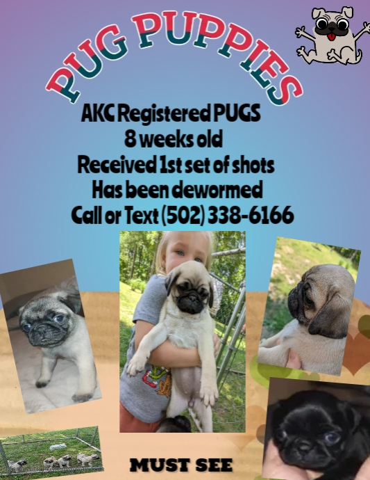 PUGS | PosterMyWall