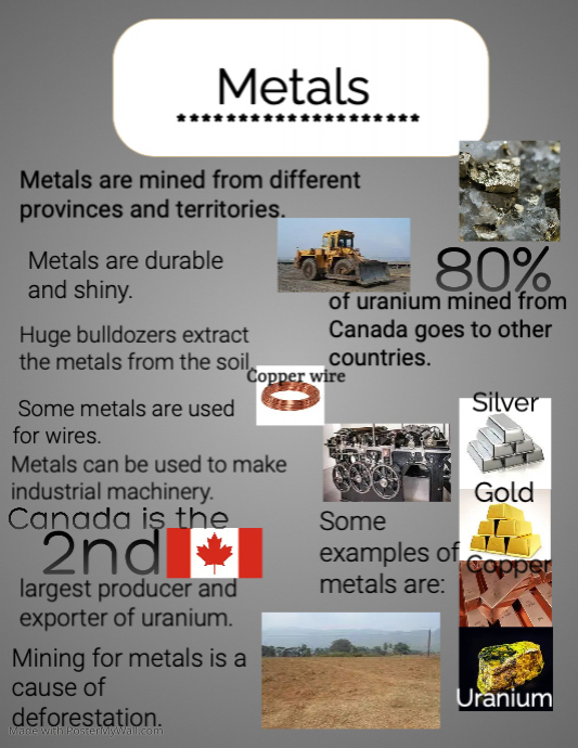 Copy of Annie's Metal Infographic | PosterMyWall