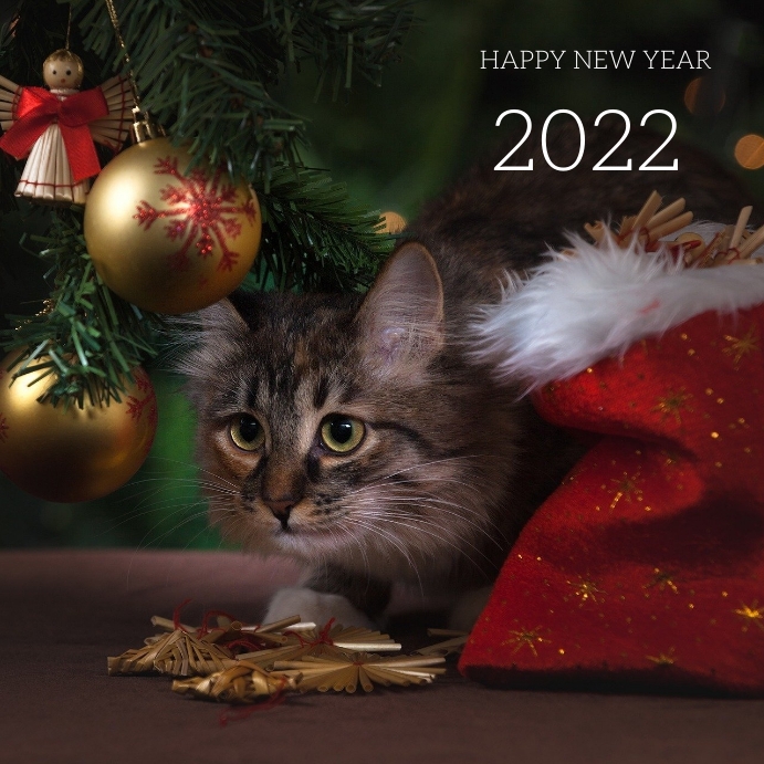237 New Year Template | PosterMyWall