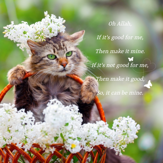 239 Q&M Template | PosterMyWall