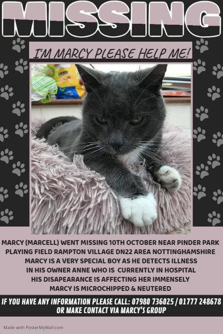 Copy of Copy of Copy of Copy of Pink Missing Girl Poster | PosterMyWall