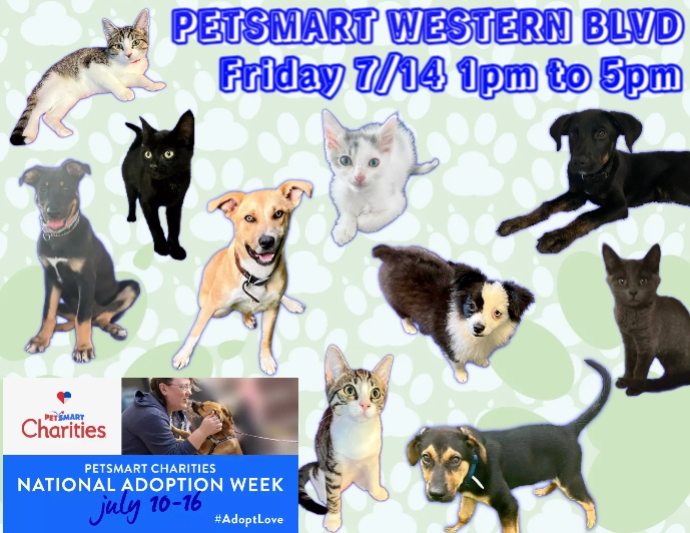 Copy of Paws | PosterMyWall