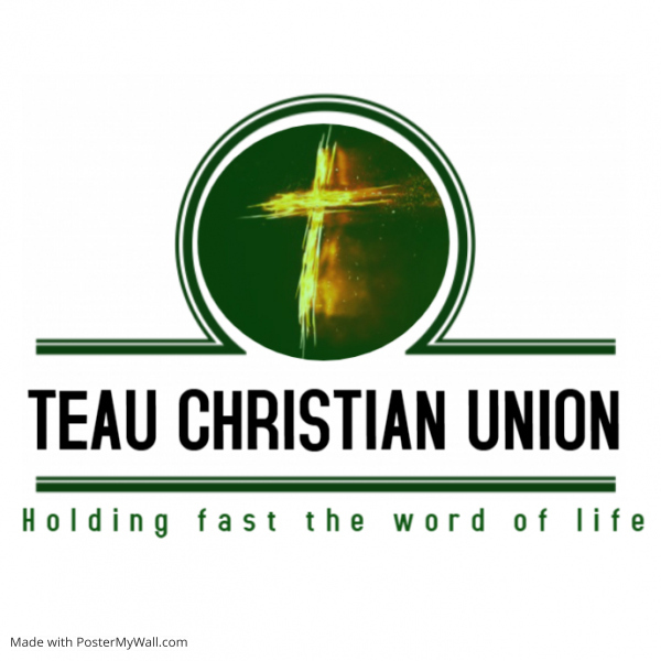 TEAU logo | PosterMyWall