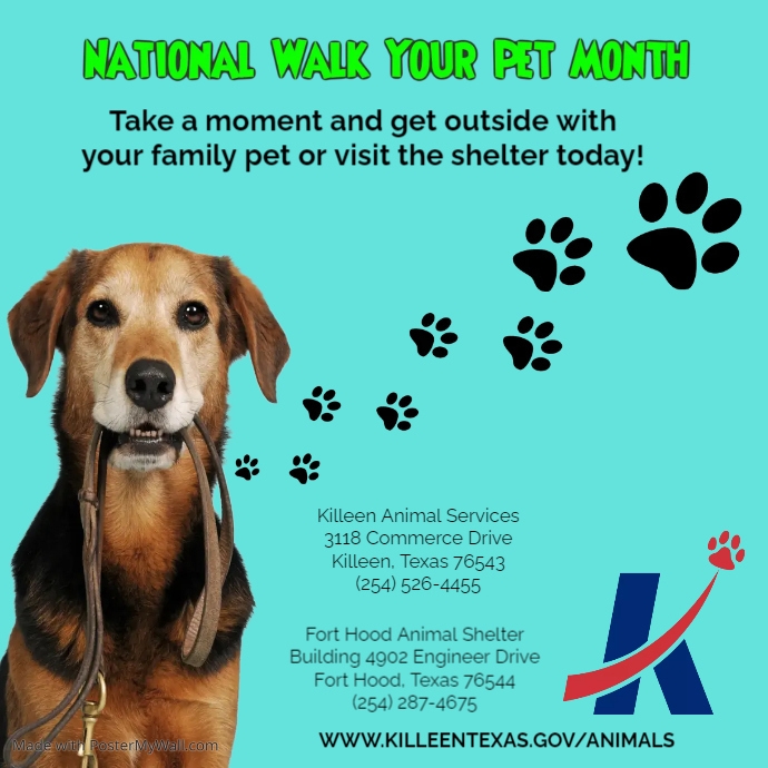 Dog Walking | PosterMyWall