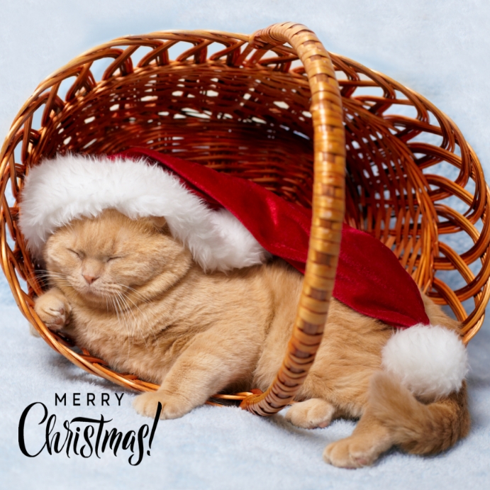 285 Holiday Template | PosterMyWall