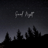 13 Good Night Template | PosterMyWall
