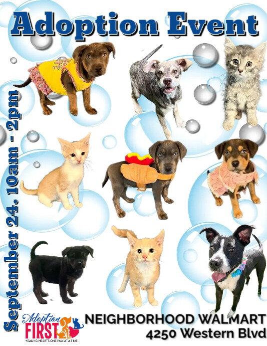 Mobile pet wash | PosterMyWall