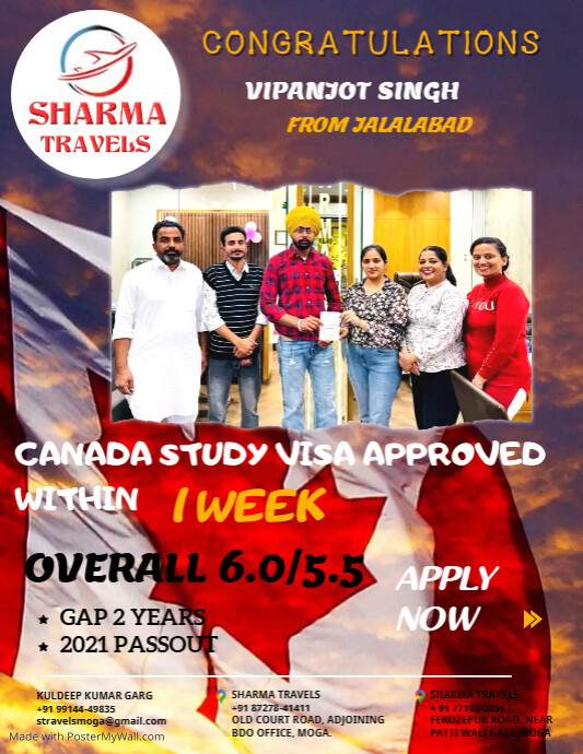 Navy Blue Student Visa Flyer | PosterMyWall