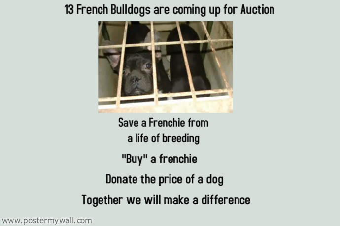 Auction Dog | PosterMyWall