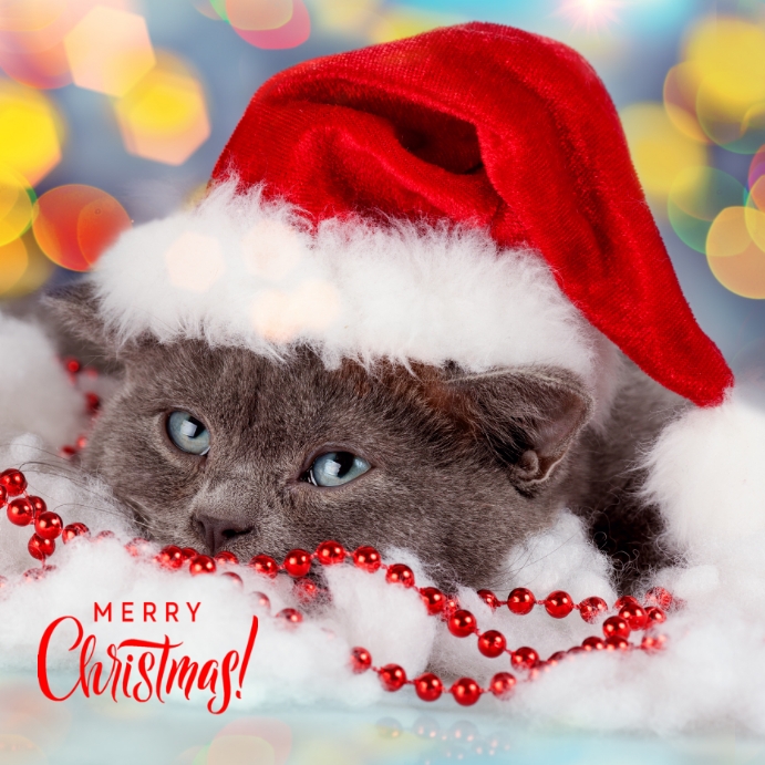 Szablon 296 | PosterMyWall