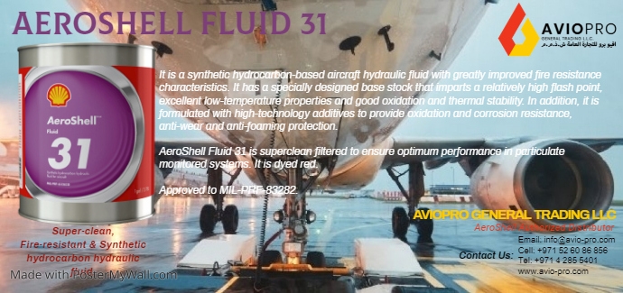 Copy of Fly Safe Poster | PosterMyWall