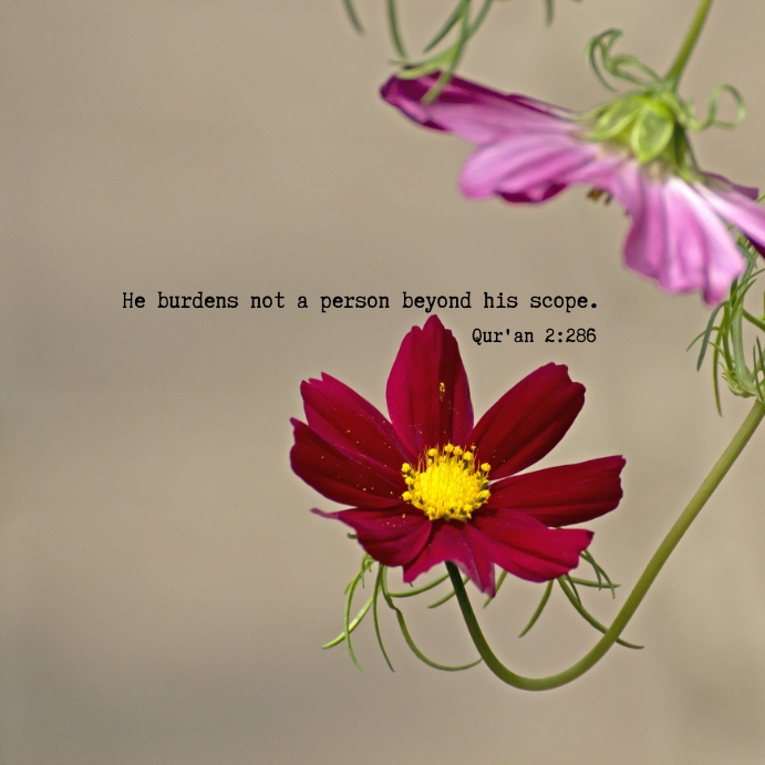 2:286 Template | PosterMyWall