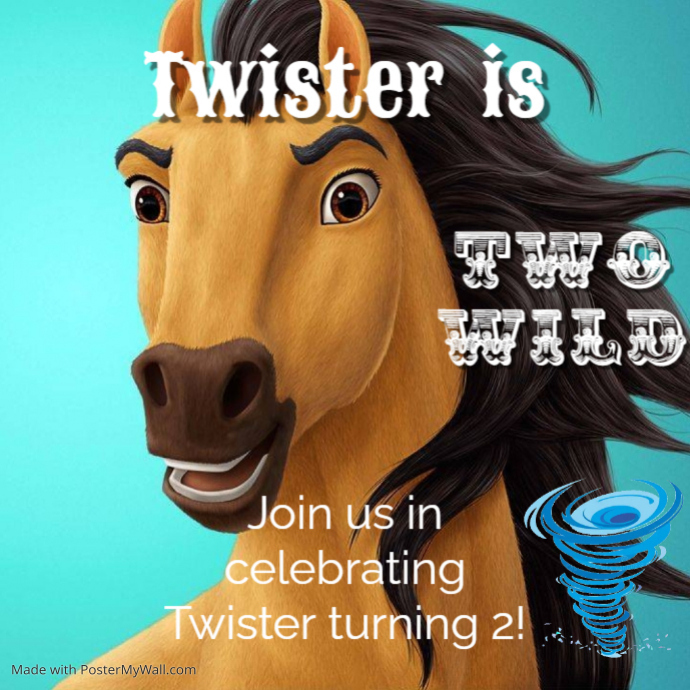 Spirit Two Wild | PosterMyWall