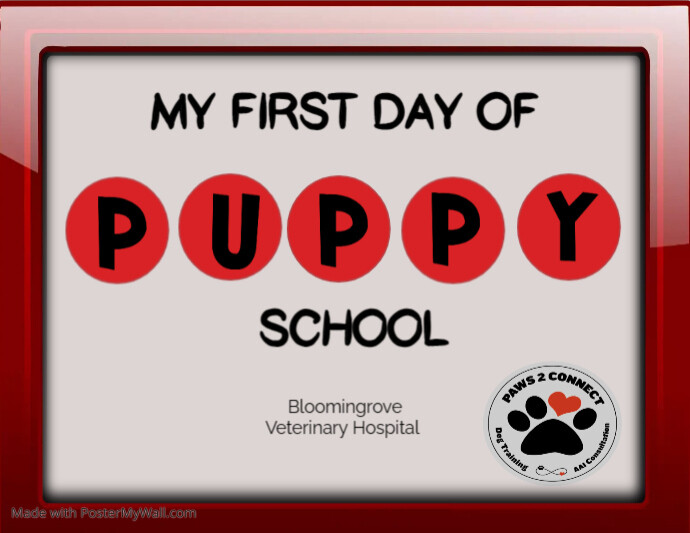 First Day of puppy school | PosterMyWall