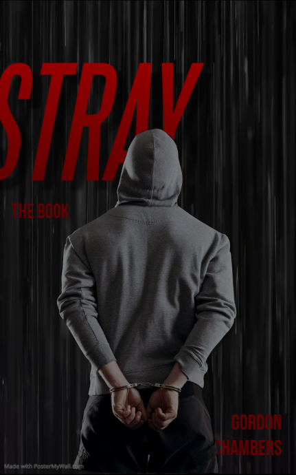 Action/Adventure Book Cover | PosterMyWall