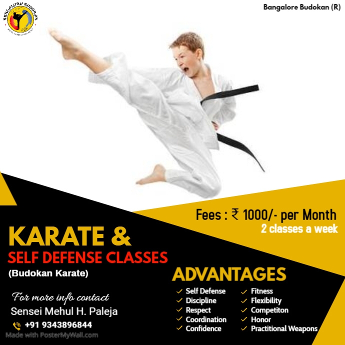 Copy of Karate Lessons Ad | PosterMyWall