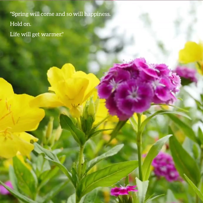 30 Spring Template | PosterMyWall