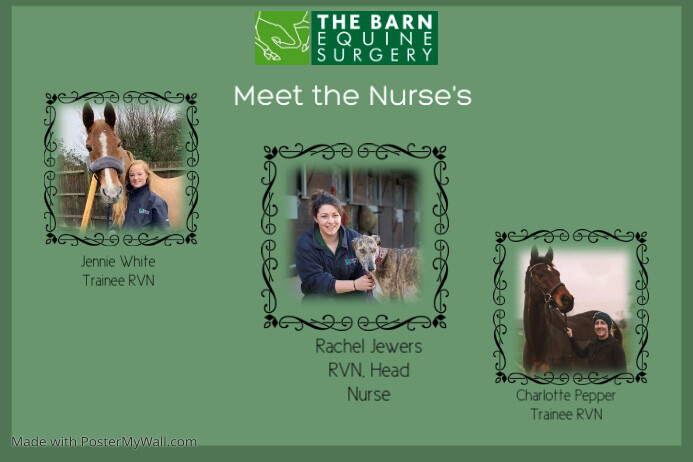 Copy of nurses Meet the team (1) | PosterMyWall