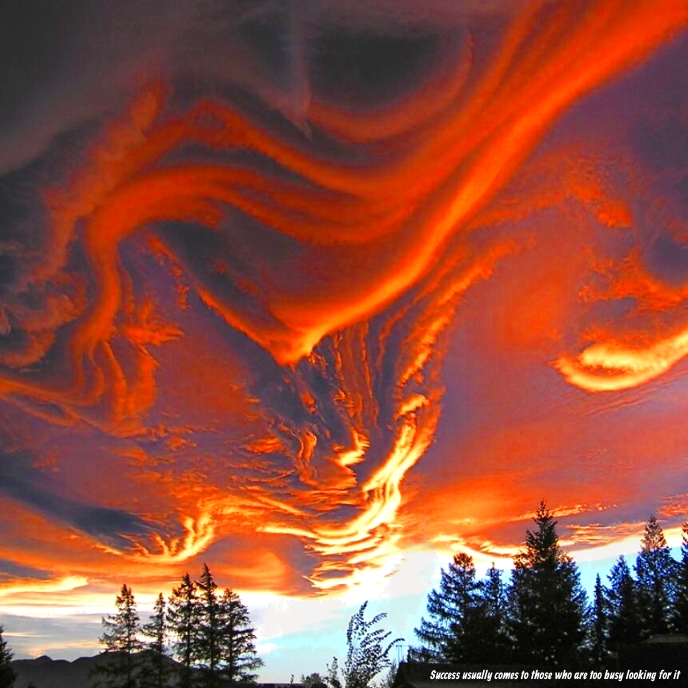 303 Template | PosterMyWall