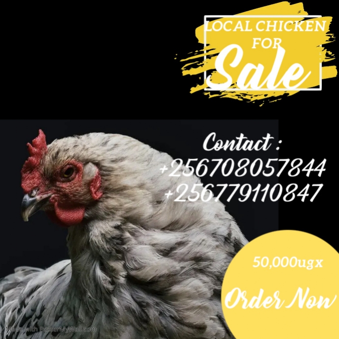 Copy of chicken flyer template | PosterMyWall