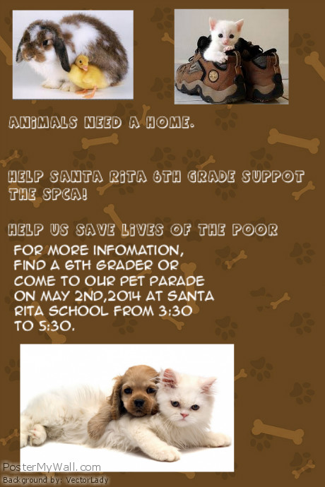 SPCA poster | PosterMyWall