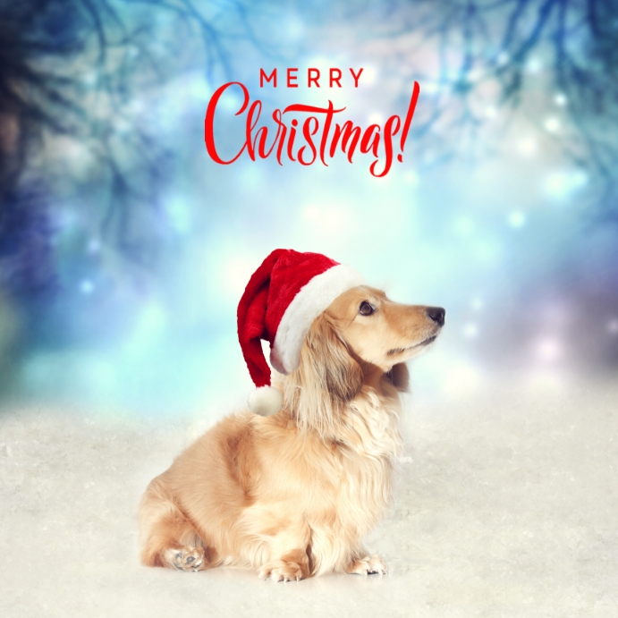 309 Holiday Template | PosterMyWall