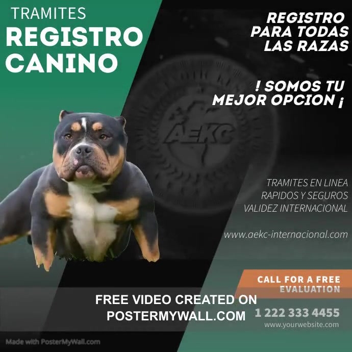 Dog Training Social Media | PosterMyWall