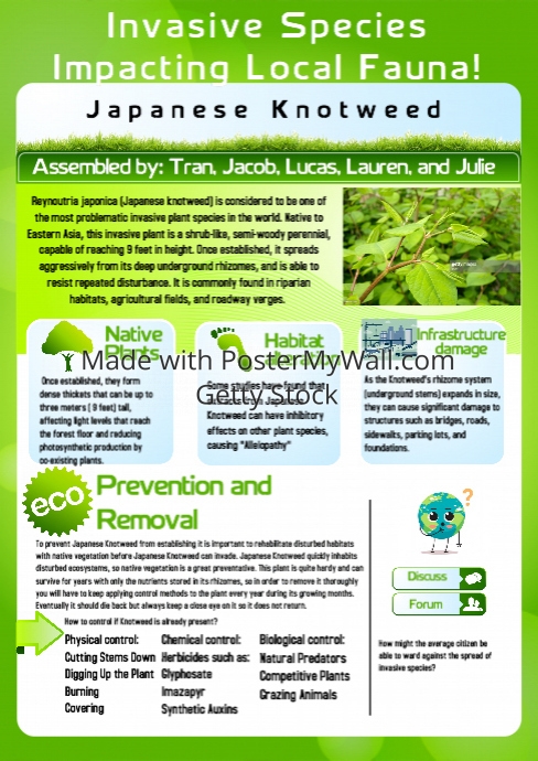 Copy of Invasive Species Ecology - Case Study #4 | PosterMyWall
