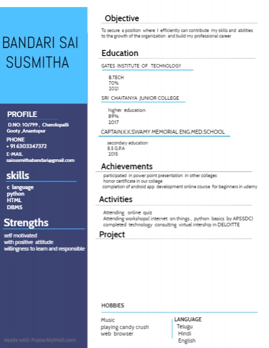 Copy of Biography Design Template - CV Resume | PosterMyWall