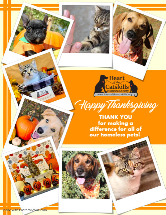 Thanksgiving, Collage | PosterMyWall