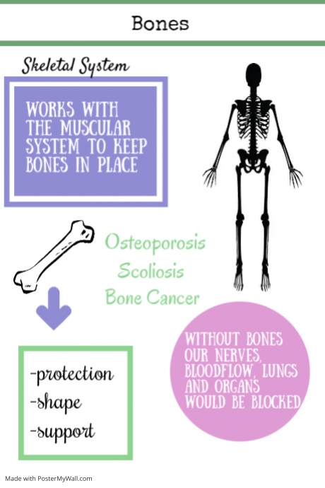 Bones Poster - Mehlbaum | PosterMyWall