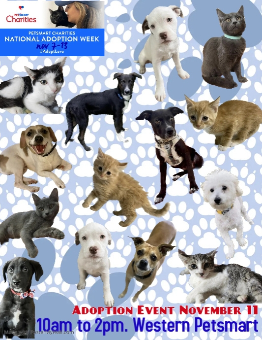 Paws (1) | PosterMyWall