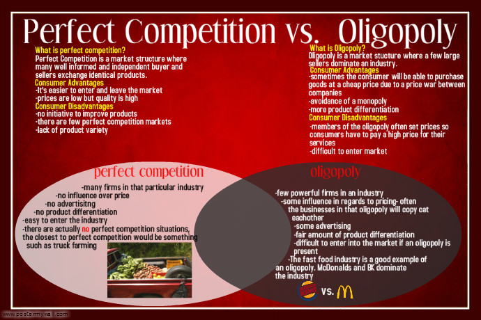 Perfect Competition vs. Oligopoly | PosterMyWall