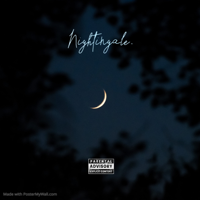 Copy of Copie de Night Minimal Album Cover | PosterMyWall