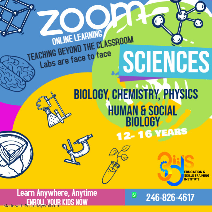 Copy of Zoom Online Classes Instagram Post | PosterMyWall