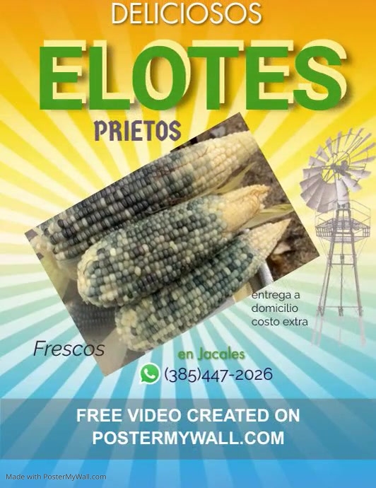 CORN FOR SALE | PosterMyWall