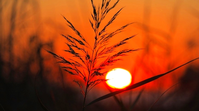 388 Template | PosterMyWall