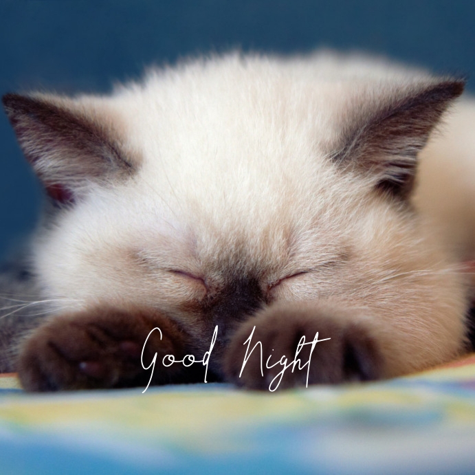 39 Good Night Template | PosterMyWall