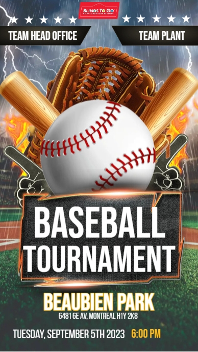 baseball match | PosterMyWall