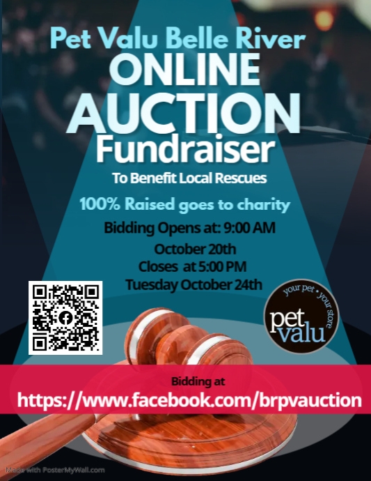 Online Auction Flyer | PosterMyWall