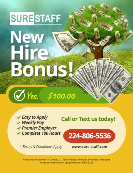 Cash Loan Flyer (3) | PosterMyWall