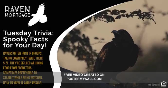 Raven Fun Facts - Tues | PosterMyWall
